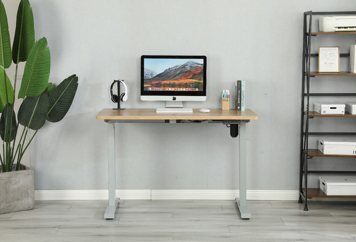 Ada Height Adjustable Electric Ergonomic Standing desk – Adastandingdesk